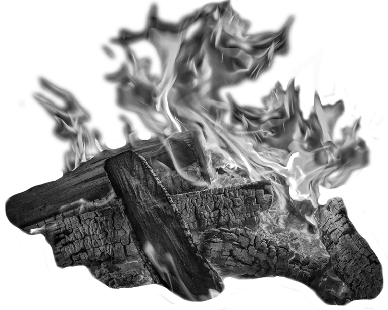 Mastering the Temperature of a Wood Fire - MyFire.Place